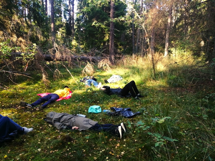 Forest bathing | Little Green Space