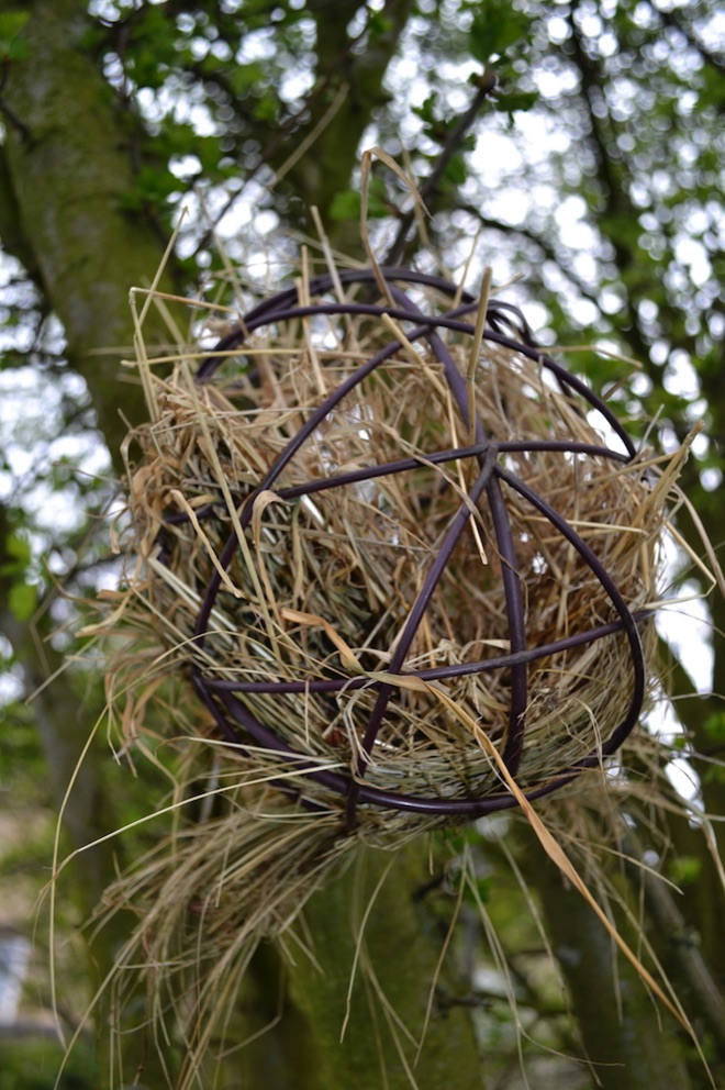 Nest boxes for birds | Little Green Space