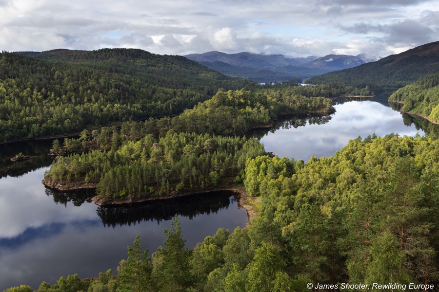 Famous glen managed by Scotland’s forestry agency joins UK’s largest ...